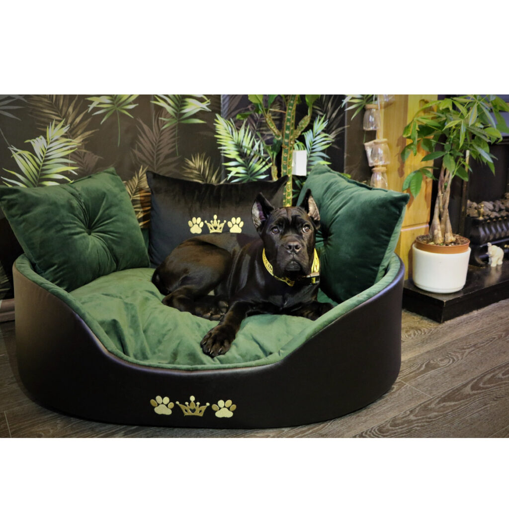 Luxury Black & Green Personalised Dog Bed With Pillows – Unique Dog Beds