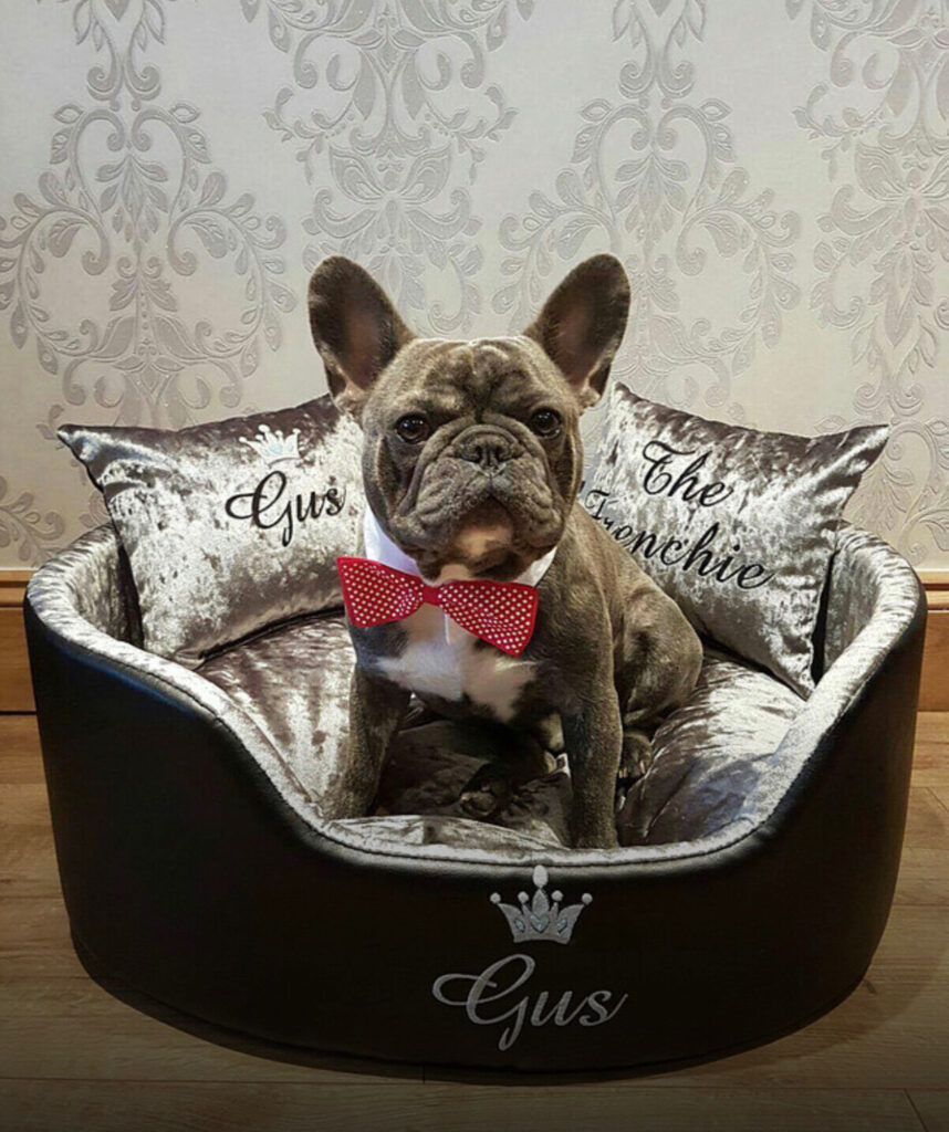 High Sided Dog Bed – Unique Dog Beds
