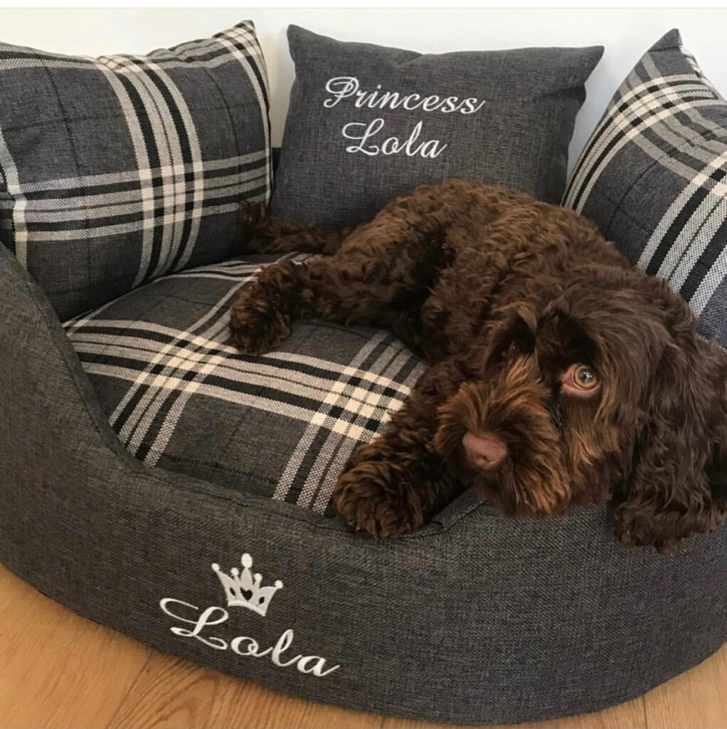 Large Grey canvas & Grey Check Dog Bed Set – Unique Dog Beds