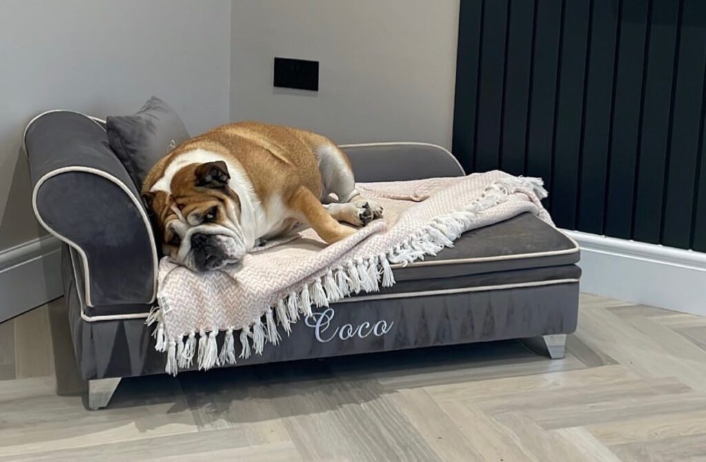Dog Chaise Lounge Personalised / With Storage – Unique Dog Beds