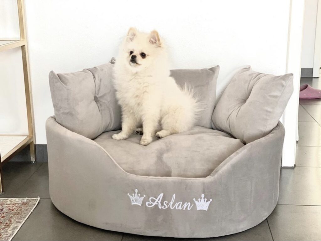 Luxury Silver Flat Velvet Dog Bed Set – Unique Dog Beds