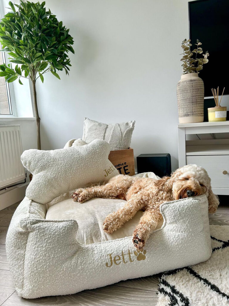 Unique Dog Beds – Unique Dog Beds