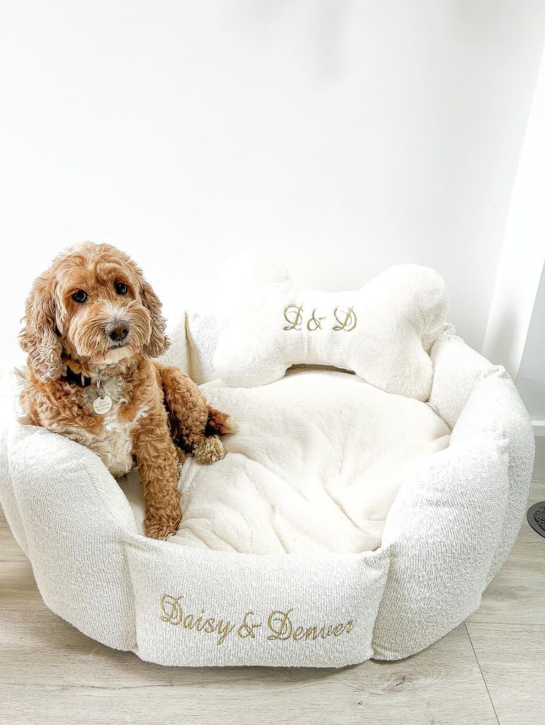 Unique Dog Beds – Unique Dog Beds
