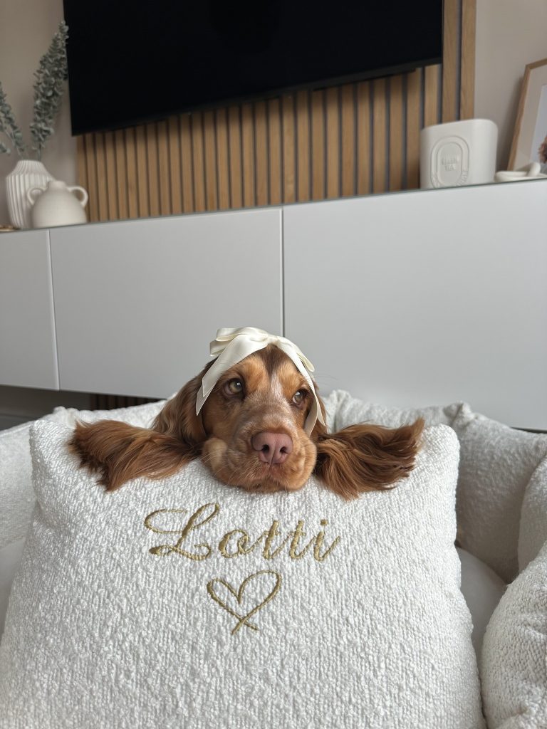 Unique Dog Beds – Unique Dog Beds