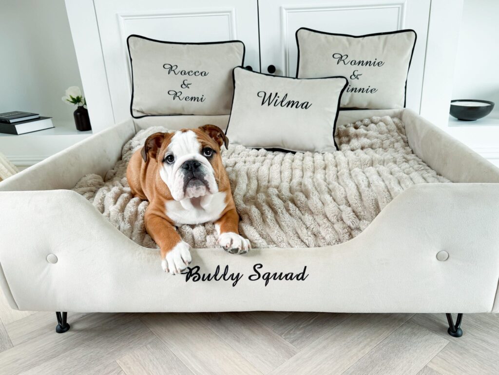 The Deluxe Custom Crib -Beige – Unique Dog Beds